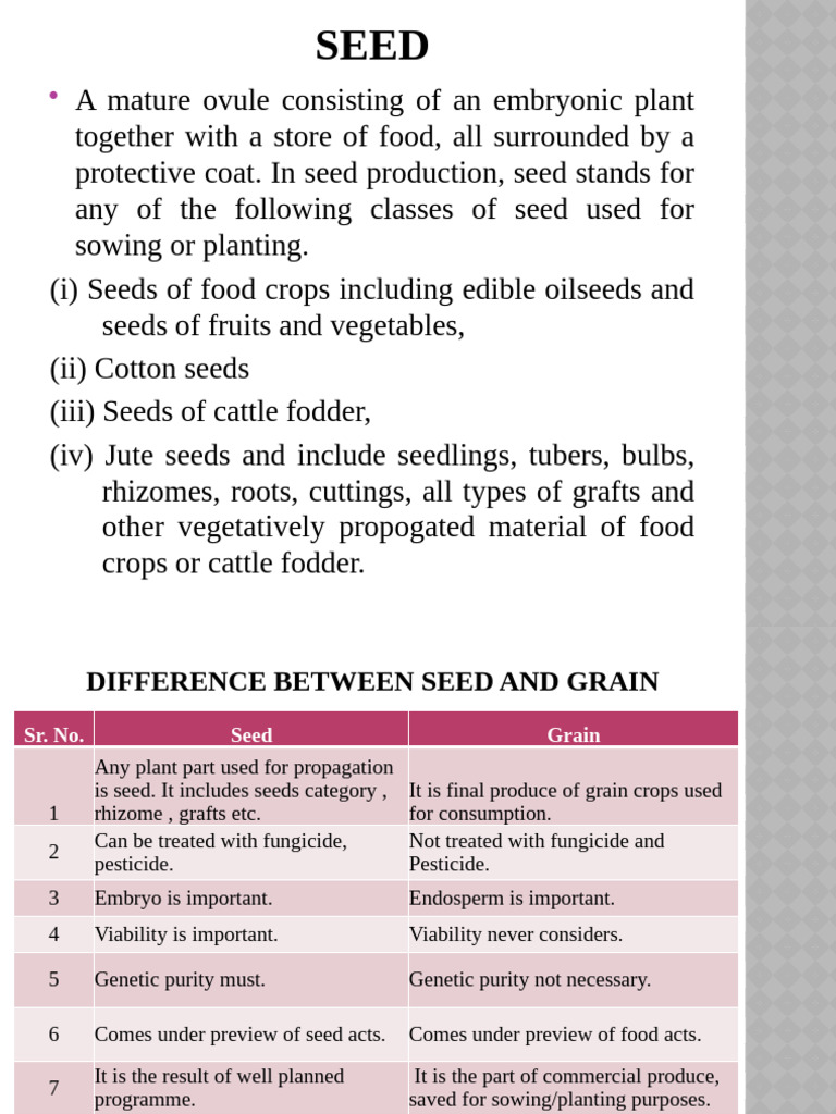 Seed vs Grain: Key Differences | PDF | Seed | Agriculture
