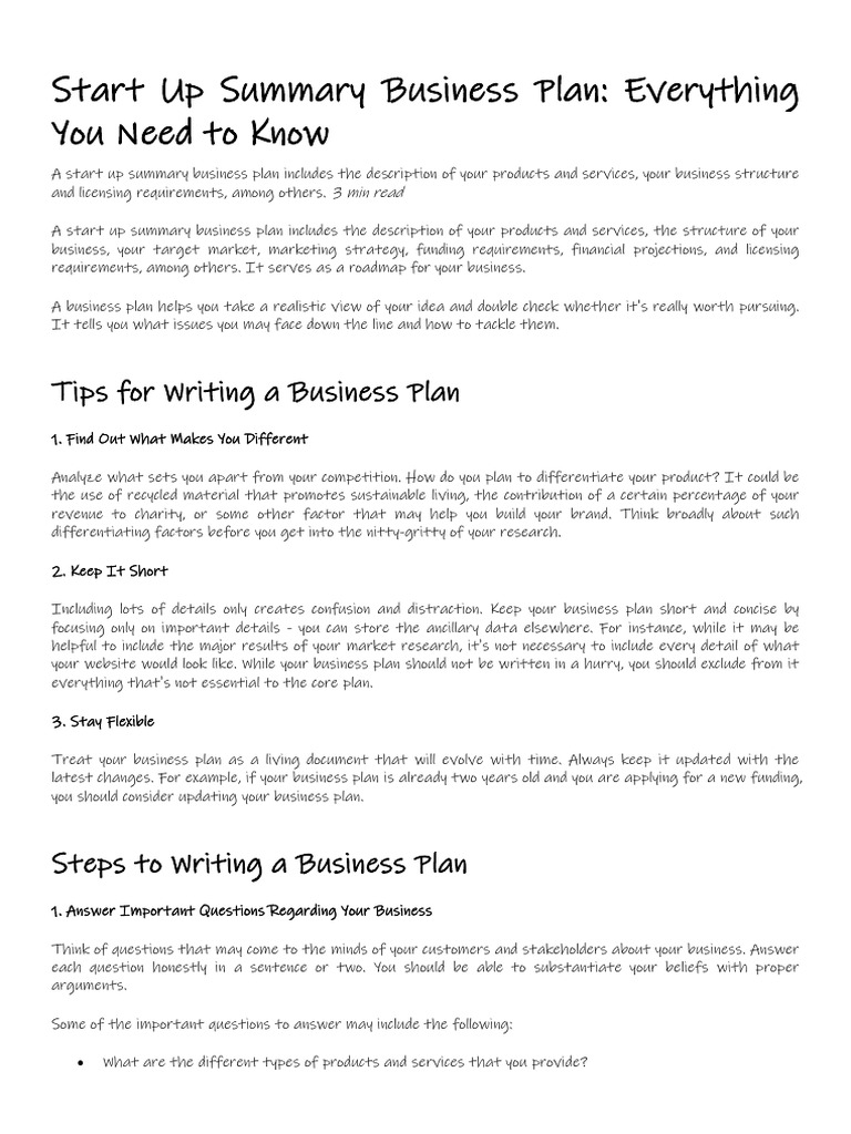 Start Up Summary Business Plan | PDF