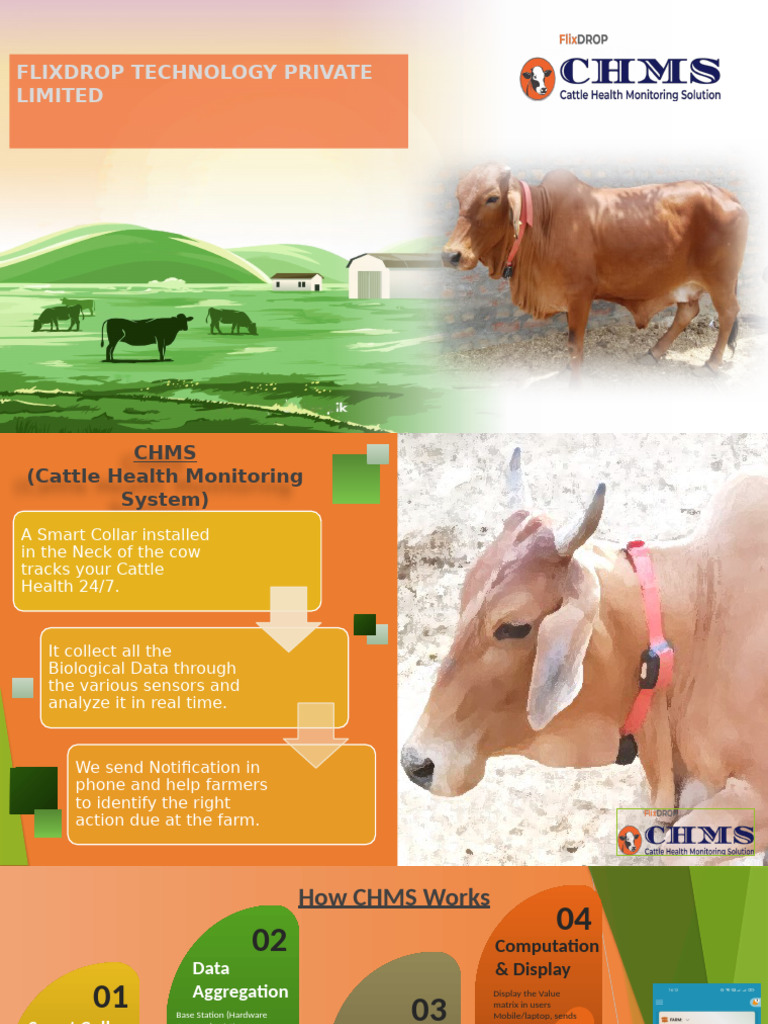 Flixdrop CHMS April 21 | PDF | Cattle | Computing
