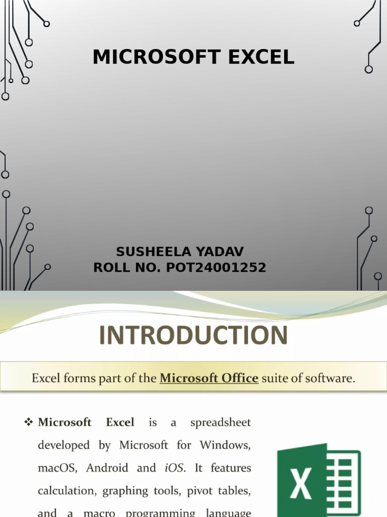 MICROSOFT Excel | PDF