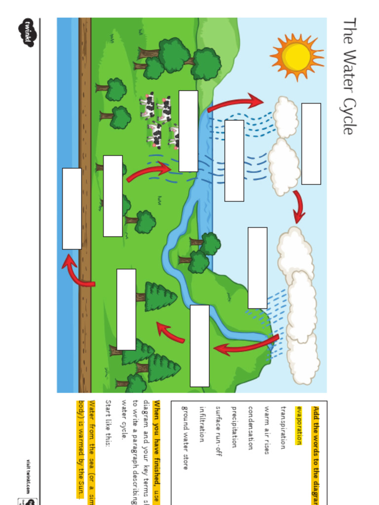 Water Cycle Activity Sheet 1 | PDF