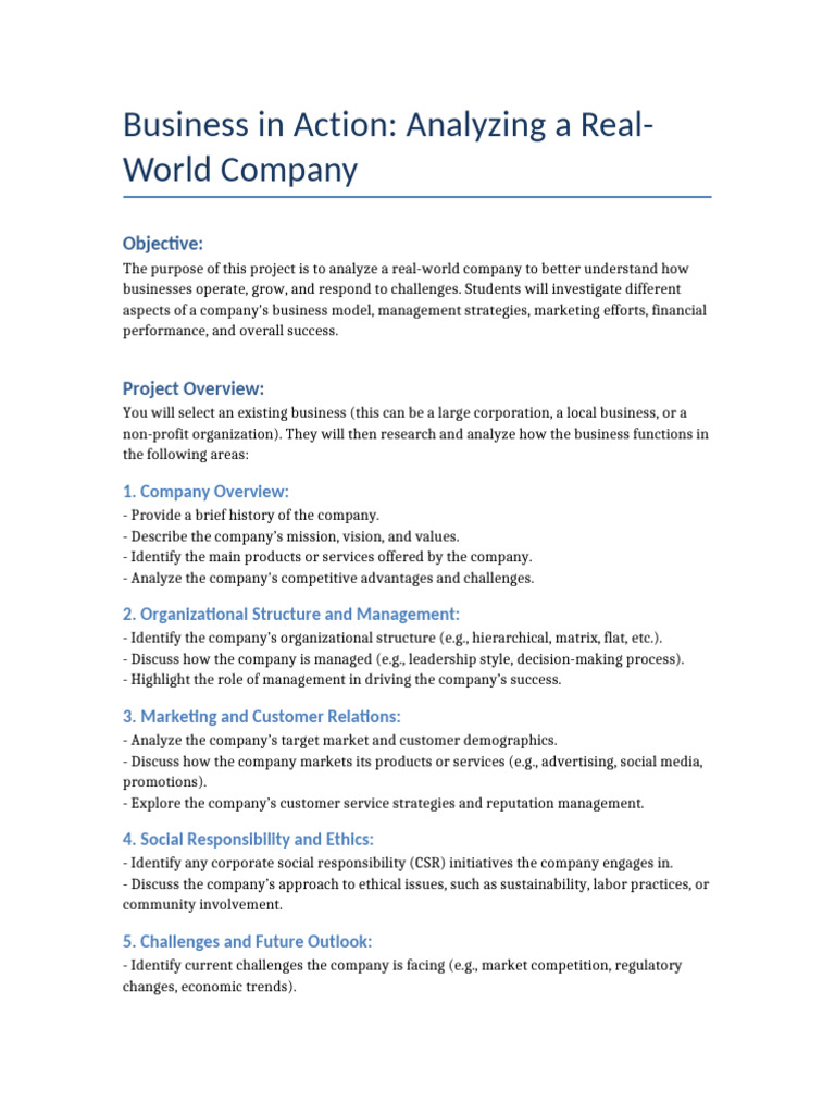 Introduction To Business Project 4 | PDF