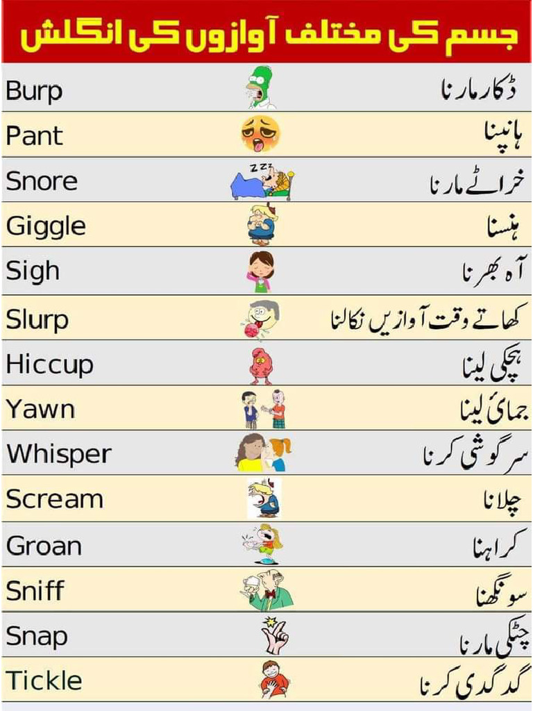 Body Voice Vocabulary | PDF