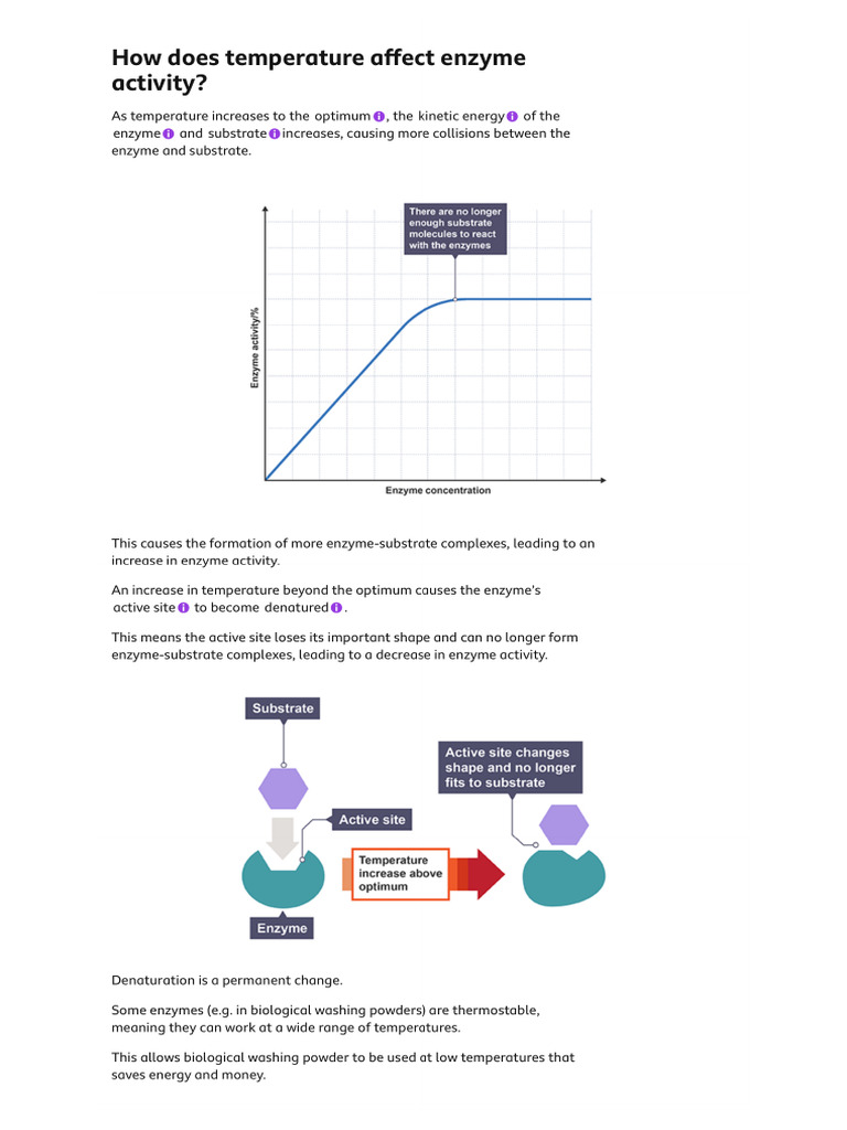 Enzyme On PH and Temp | PDF