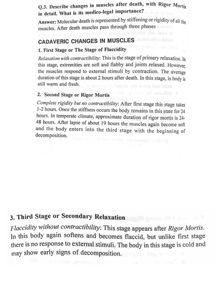 Muscular Changes After Death | PDF