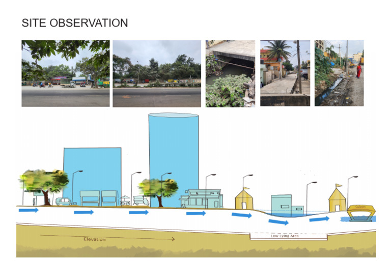 Site Observation | PDF