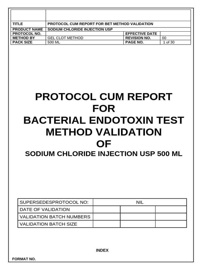 02-Validation Protocol Cum Report of Sodium Chloride Injection - 500 ML Usp | PDF
