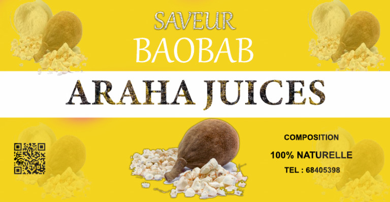 Aicha - PDF BAOBAB | PDF