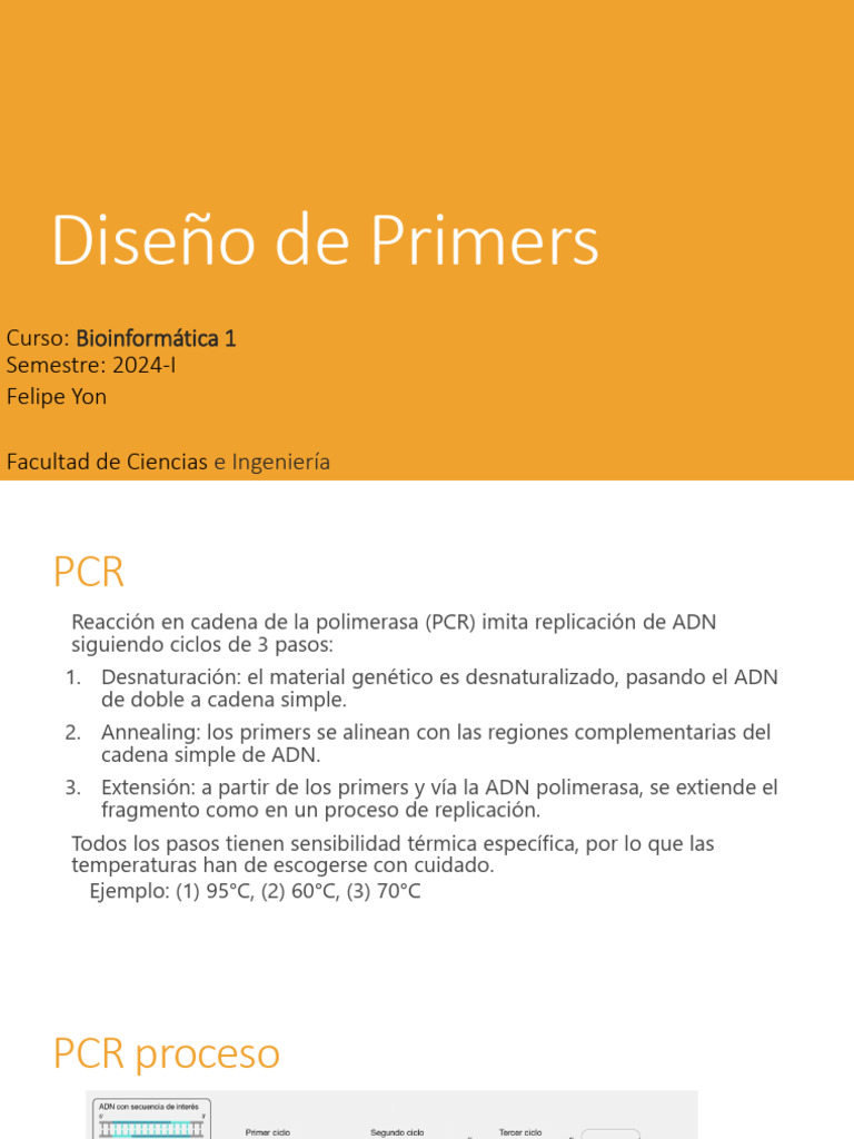 Diseño de primers | PDF | Primer (Biología Molecular) | Reacción en cadena de la polimerasa