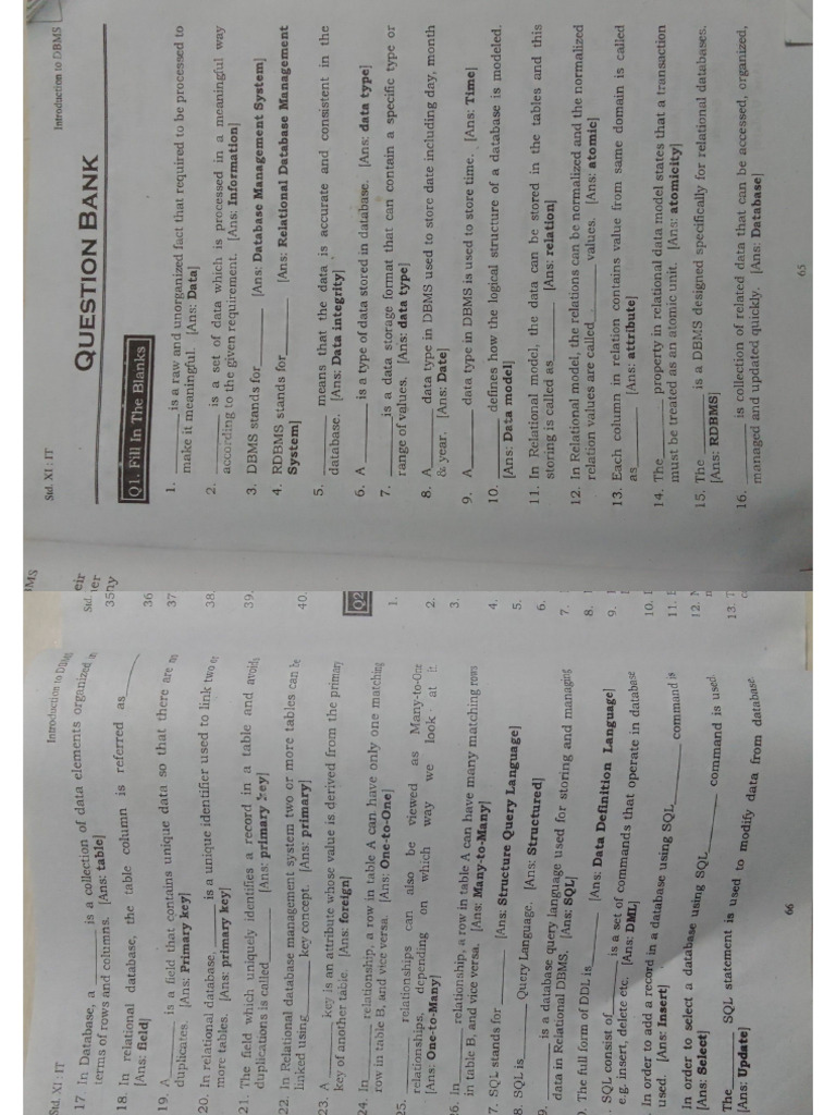 11th STD IT Chapter 2 Question Bank | PDF