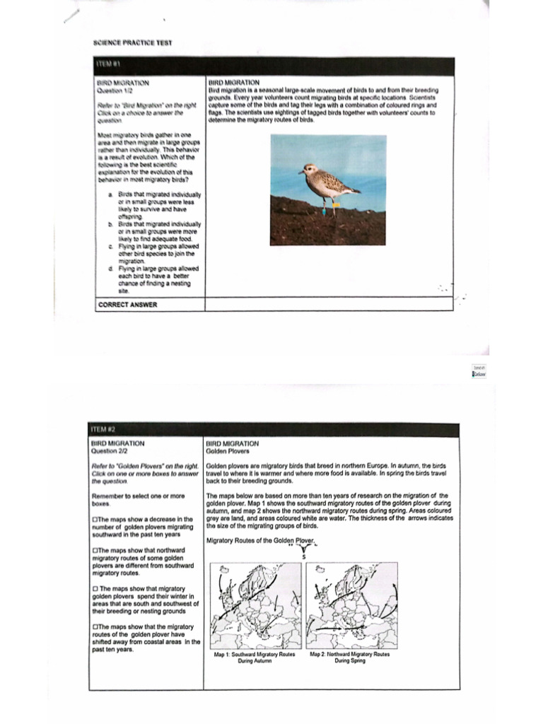 Sample PISA Type Question | PDF