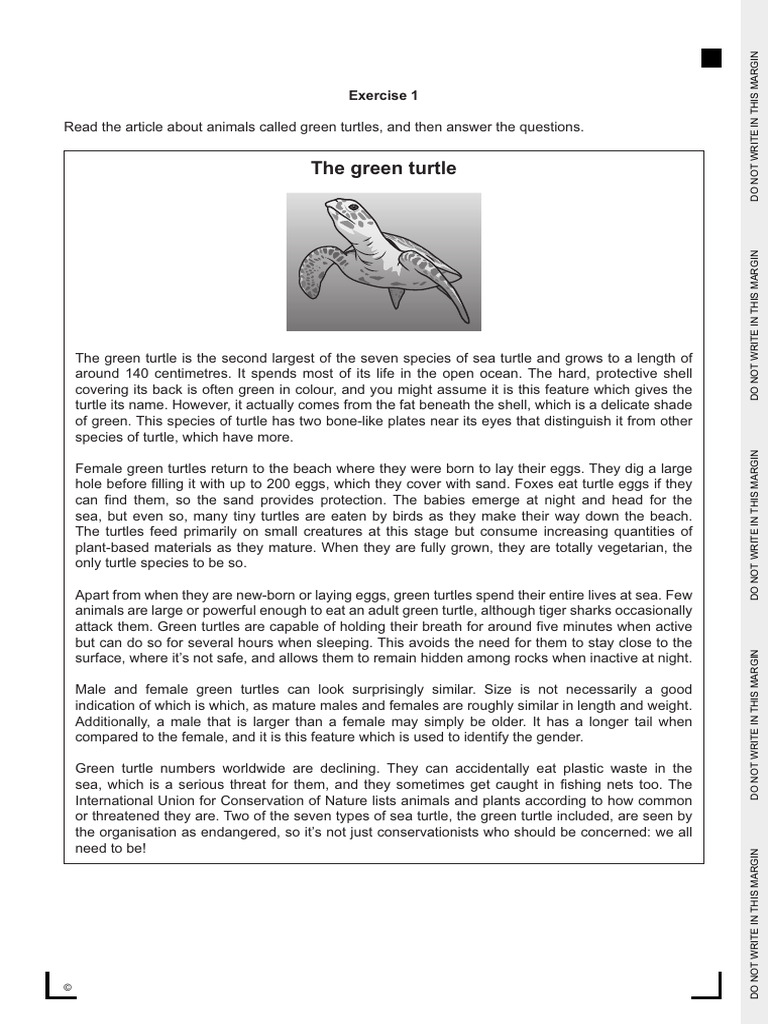 ESL Assignment 2 YGN (80 Marks) | PDF | Turtle | Sea Turtle