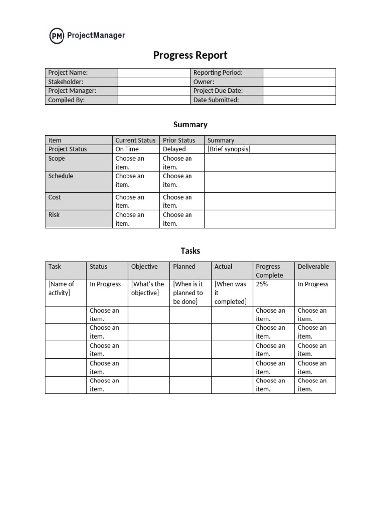 Progress Report Template ProjectManager WLNK | PDF