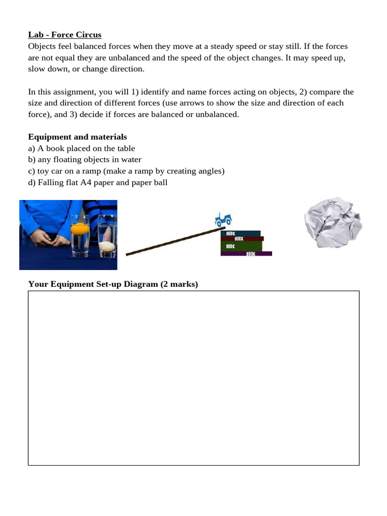(4.5 Lab Force Circus - Assignment | PDF