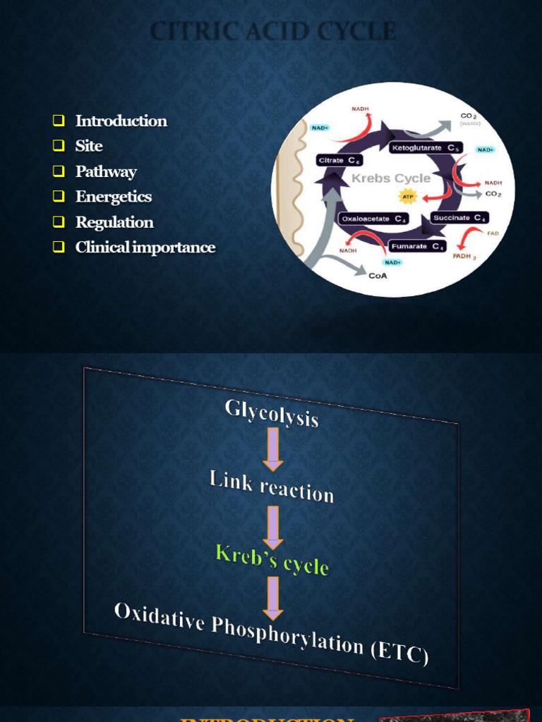 Citric Acid Cycle ( TCA) | PDF | Diet & Nutrition | Chemistry