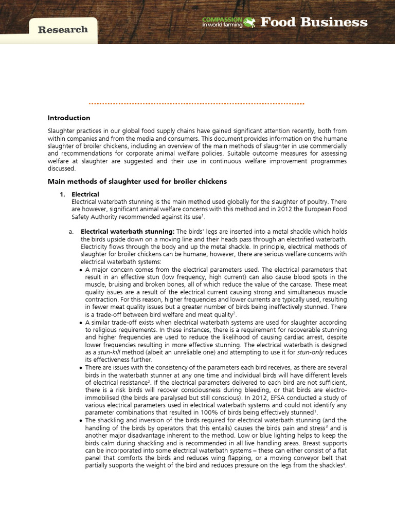 Humane Slaughter Broiler Chickens | PDF | Animal Slaughter | Animal Welfare