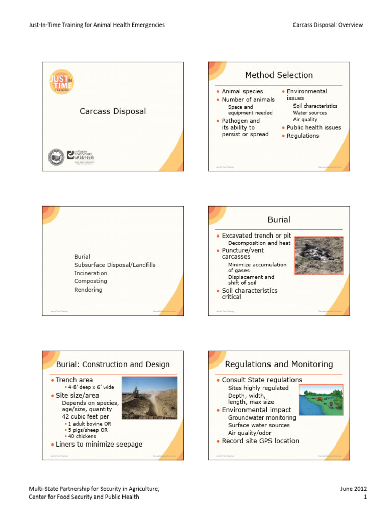 11 Carcass Disposal Overview PPT 6slide HANDOUT | PDF | Waste Management | Incineration