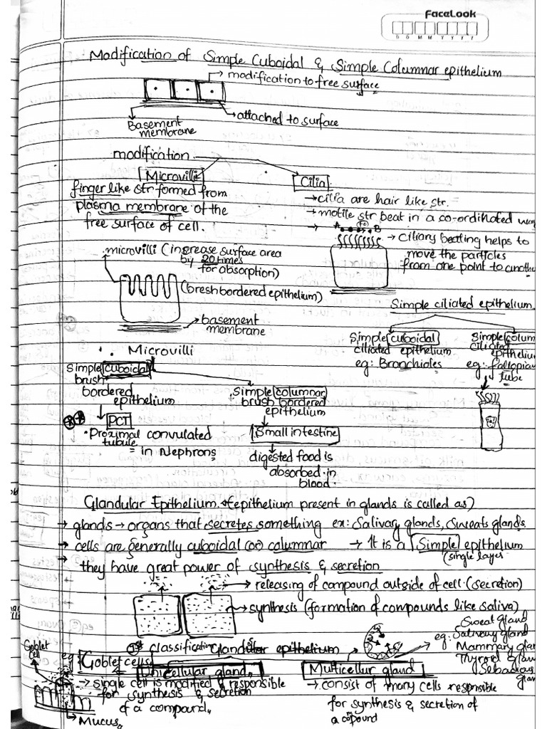 Structure | PDF