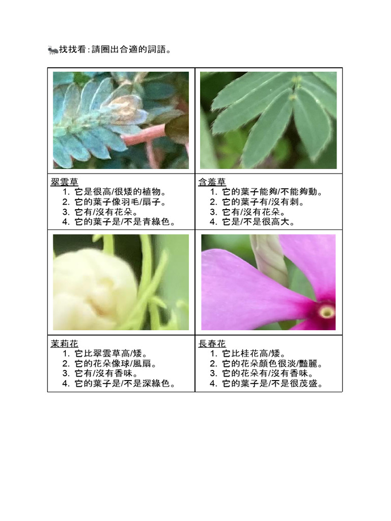 螞蟻ws | PDF