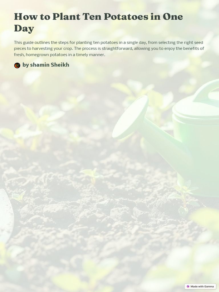 How To Plant Ten Potatoes in One Day | PDF | Potato | Root