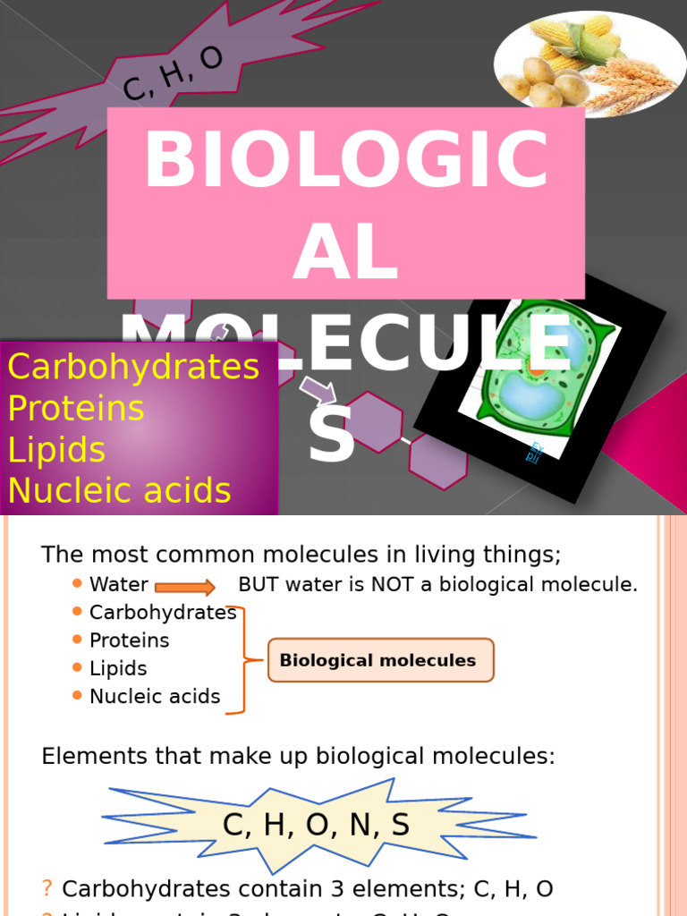 Biological Molecules Overview | PDF | Carbohydrates | Biomolecules