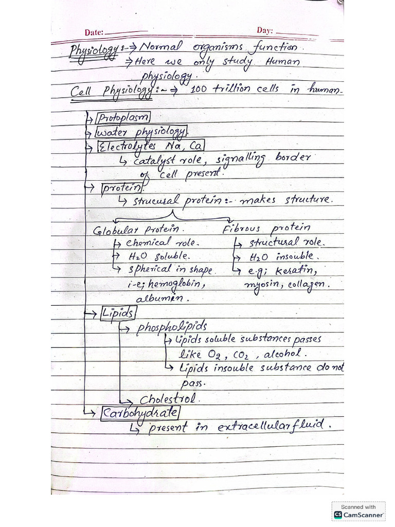 Physiology Mid Portion by Umar Farooq | PDF