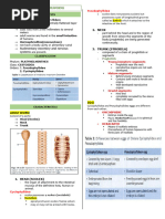 Cestodes (Table) | PDF | Medical Specialties | Diseases And Disorders