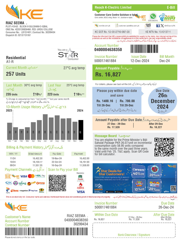 December 2024 Electricity Bill Summary | PDF | Fee | Power (Physics)