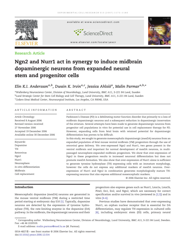 2007 Ngn2 and Nurr1 act in synergy to induce midbrain dopaminergic ...