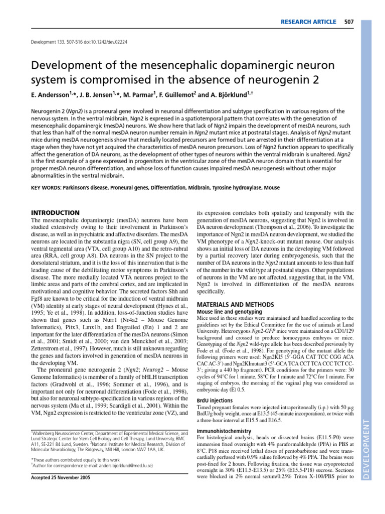 2006 Development of the mesencephalic dopaminergic neuron system is ...