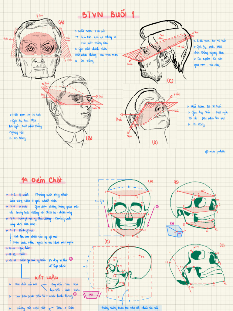 BTVN 1 Đầu cổ | PDF