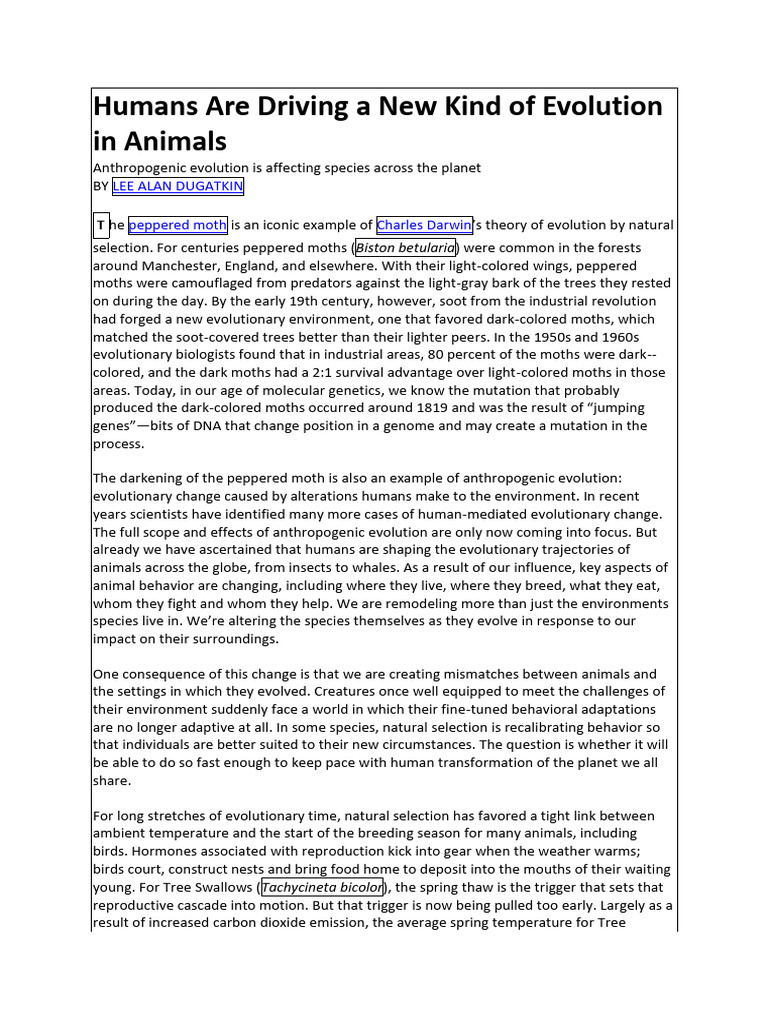 Reading Comprehension- Grade 10 - Practice | PDF | Evolution | Birds