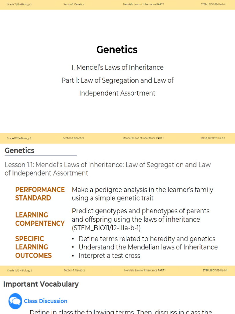 Mendel Genetics ReviewLesson | PDF