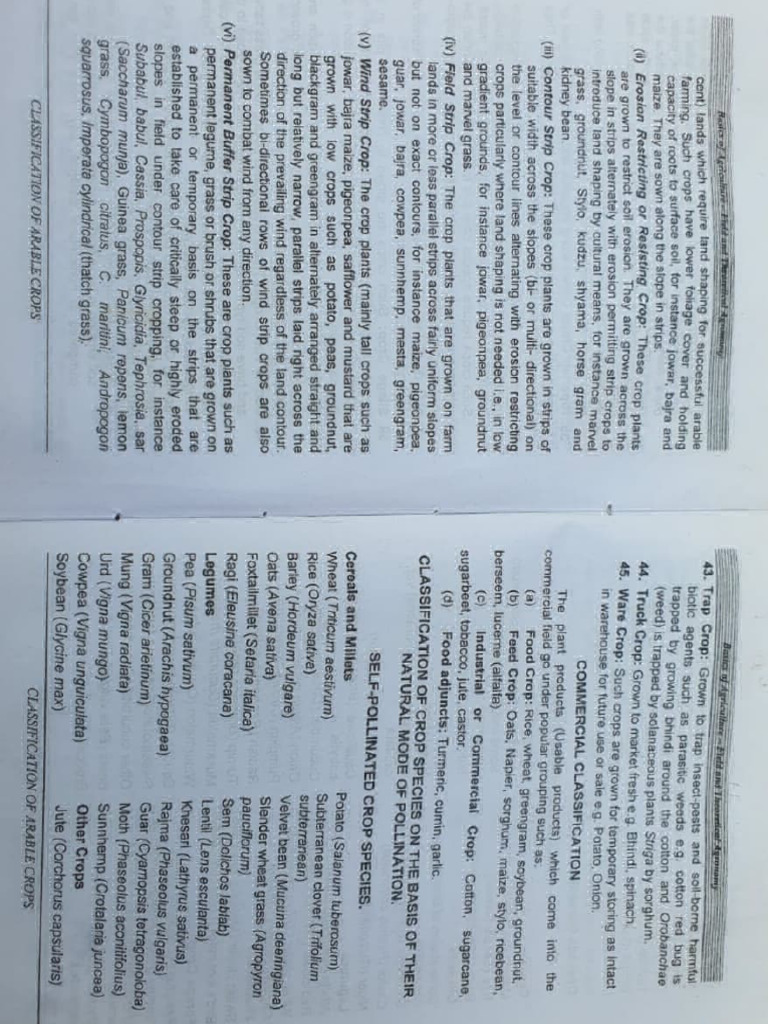 Crop Classification Guide | PDF | Crops | Plants