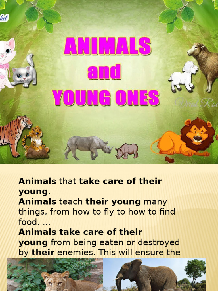 Animals and Their Young Ones GK | PDF