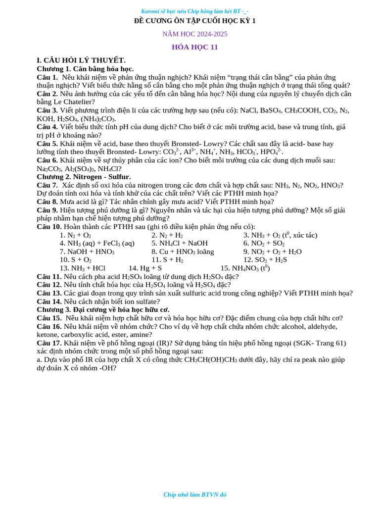 De Cuong On Tap HK1 Hoa 11 KNTT | PDF