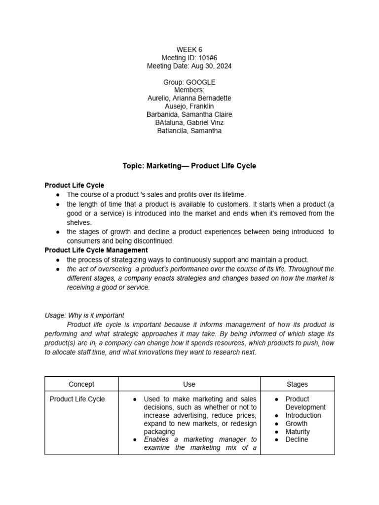 Google Outline | PDF | Marketing | Brand