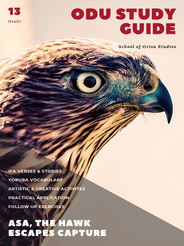 Odu Study Guide Osadi-Brass | PDF