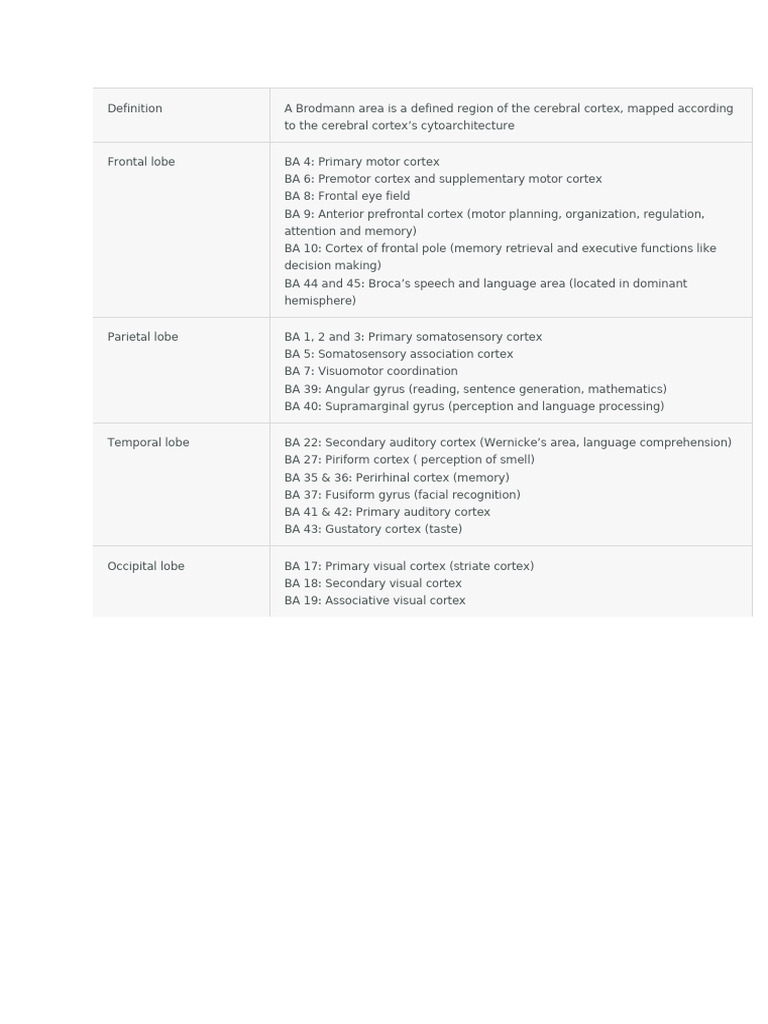 Brodmann Areas: Brain Function Map | PDF