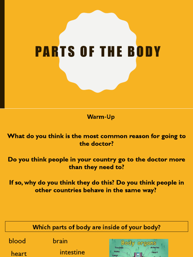 Parts of The Body 8 B Grade | PDF | Musculoskeletal System | Human Anatomy
