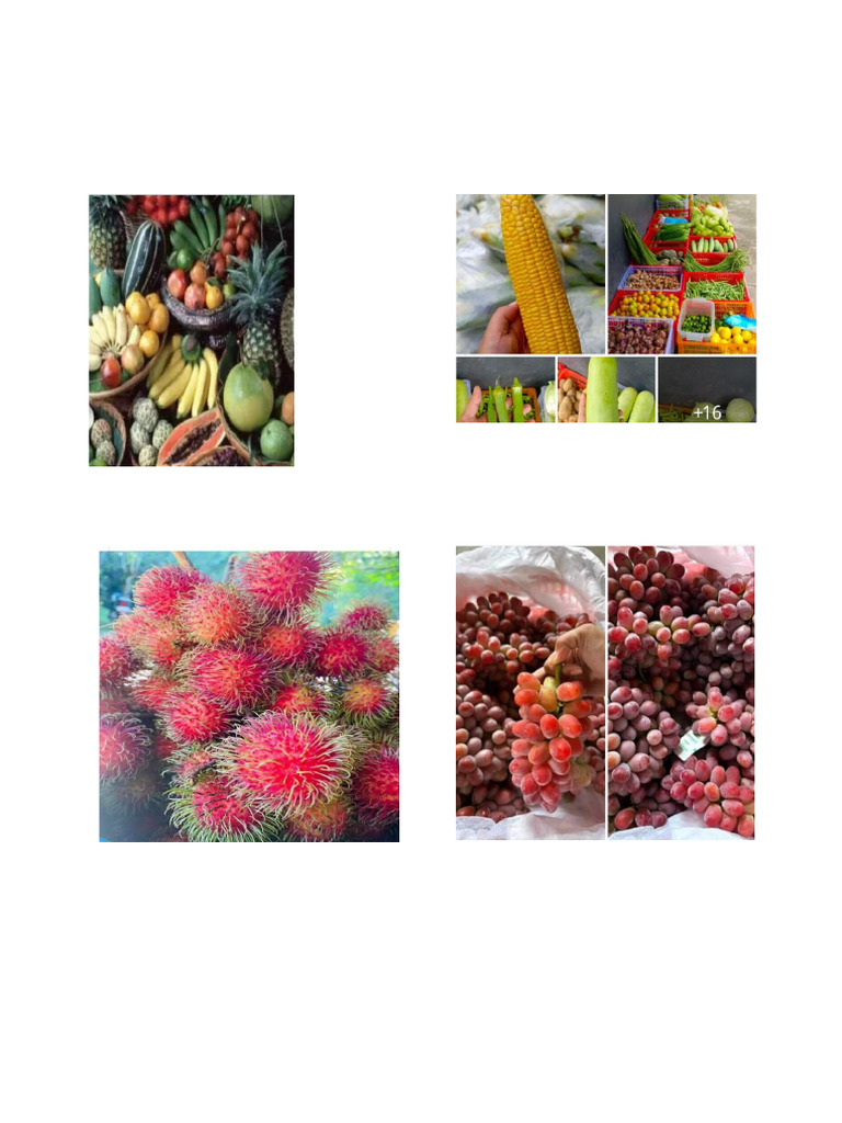Fruits | PDF
