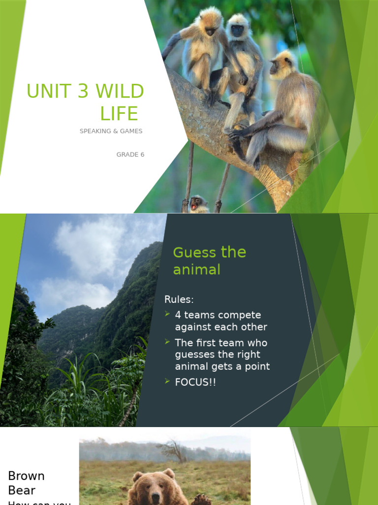 Grade 6 Unit 3 Wild Life Games | PDF