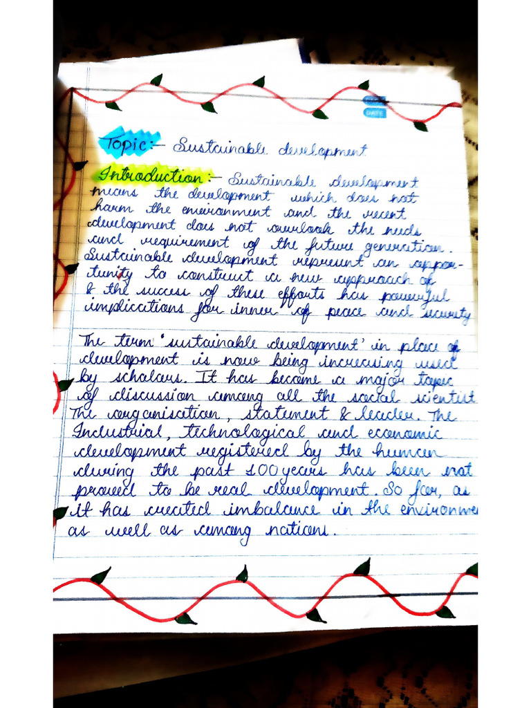 Social Science Project File Sustainable Development | PDF