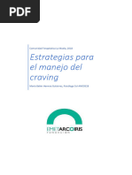 Manual ADIR | PDF