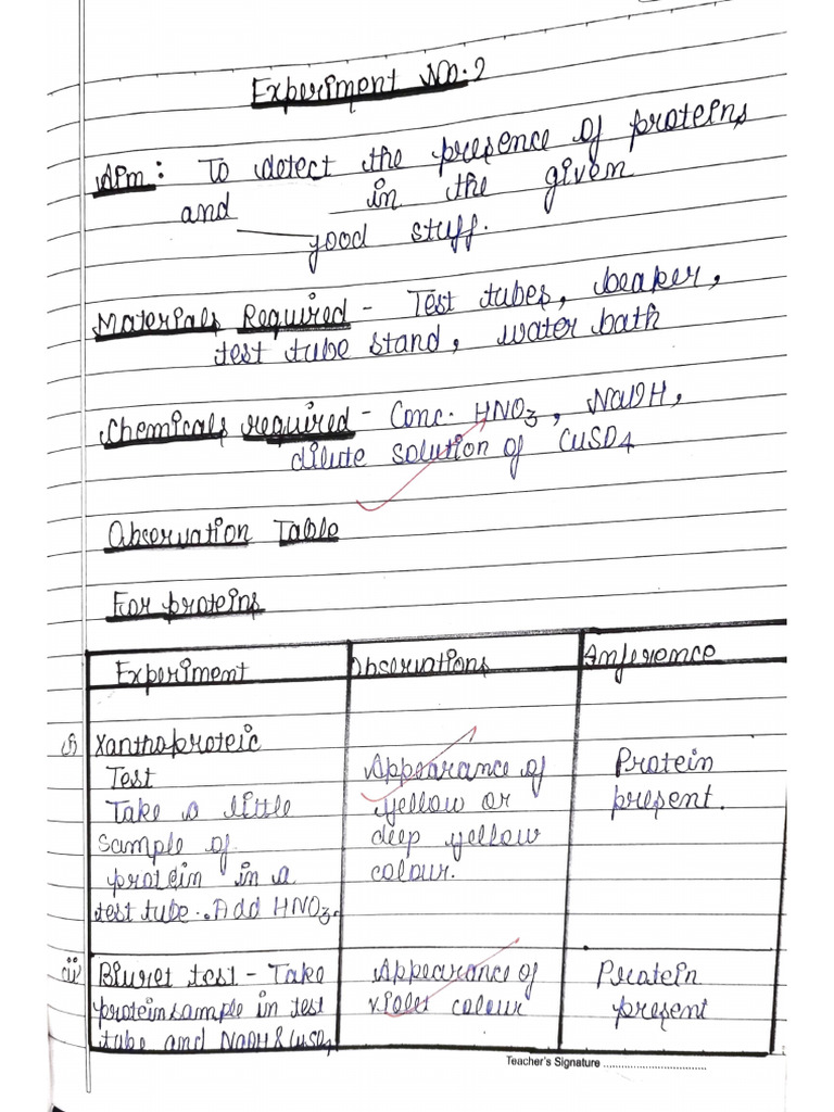 Experiment No. 2 Class 12th | PDF