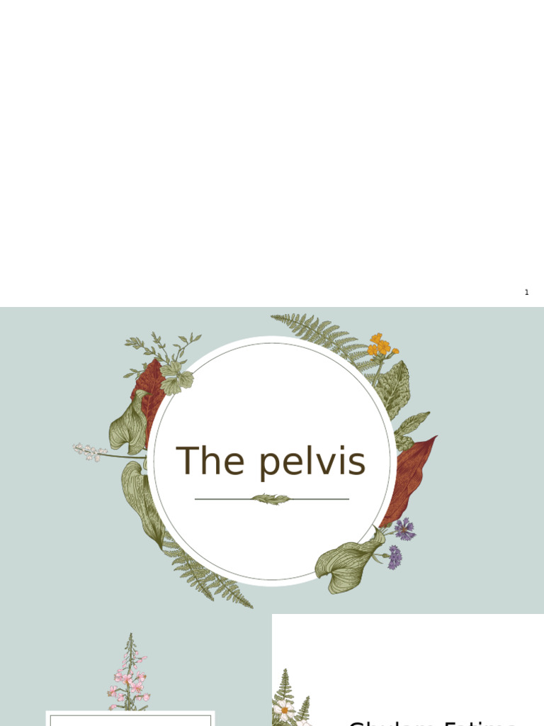 The Pelvis | PDF | Pelvis | Musculoskeletal System
