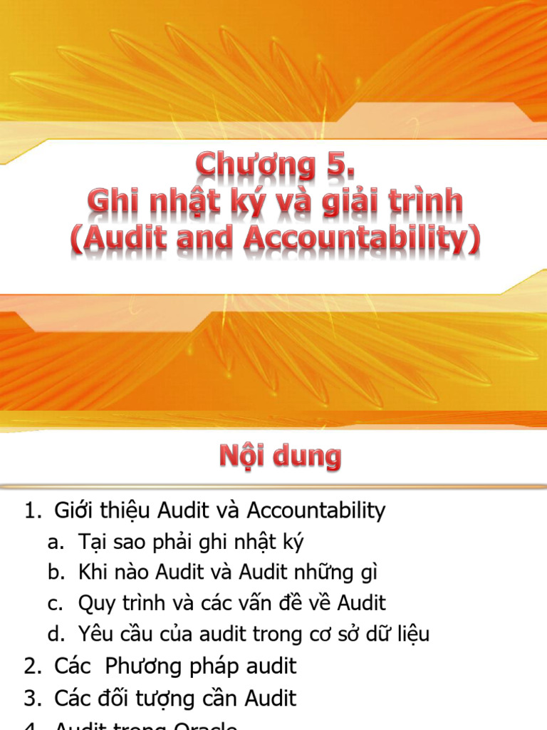 BM HTTT Chuong 5 Auditing | PDF