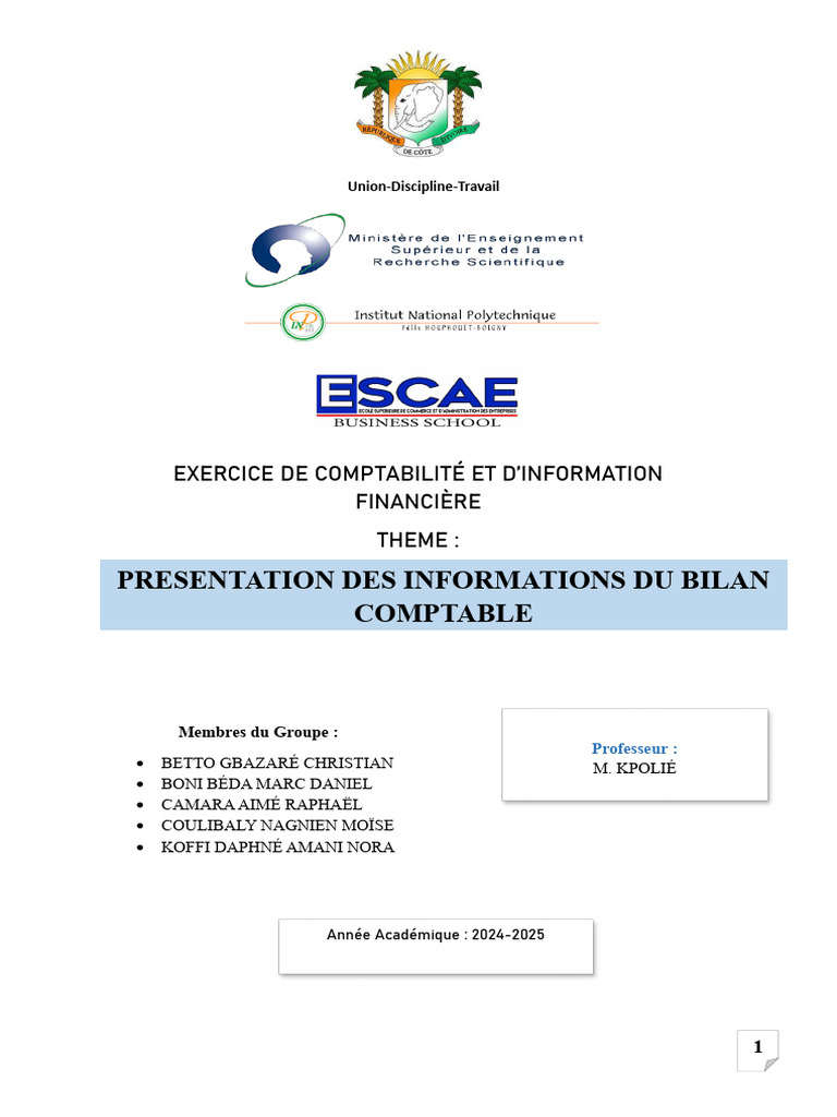 Présentation du Bilan Comptable | PDF | Comptabilité | Bilan comptable