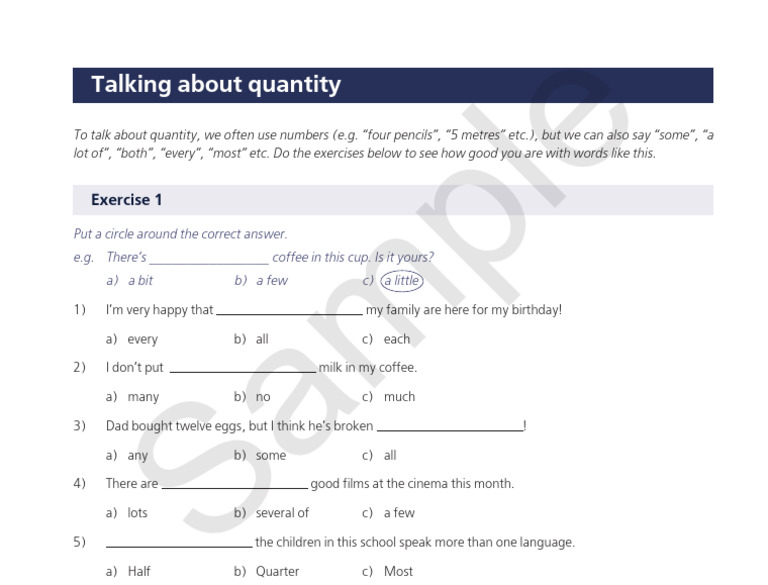 Understanding Quantity Words in English | PDF