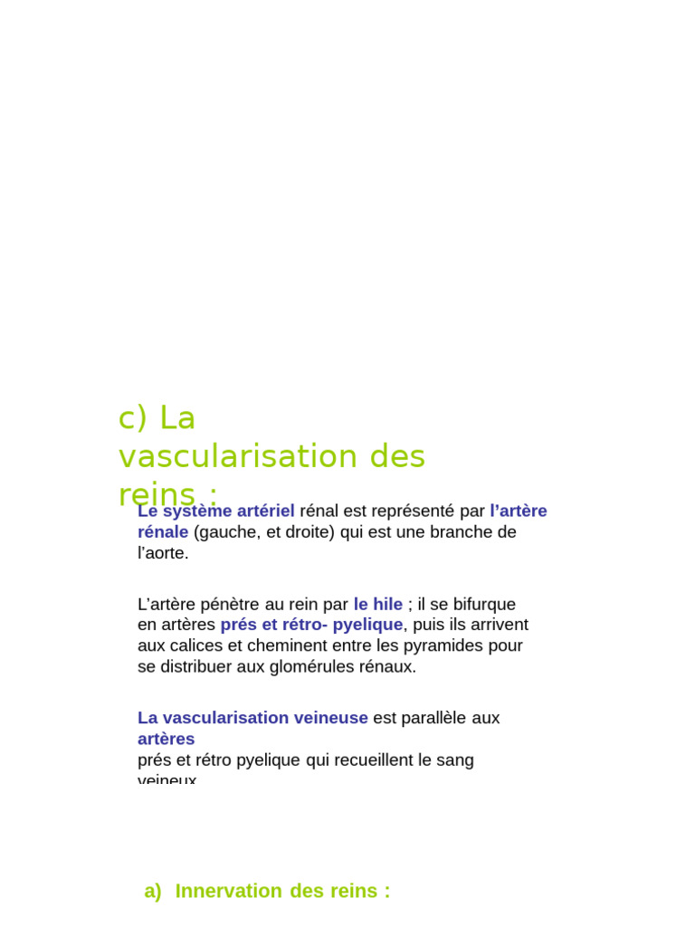 Anatomie des reins et leur vascularisation | PDF | Rein | Morphologie ...